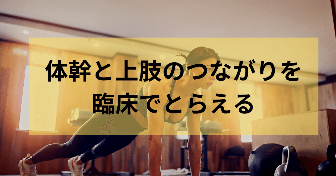 体幹と上肢を筋膜のつながりから考える｜Masashi.Anzai~動作･身体の専門家~