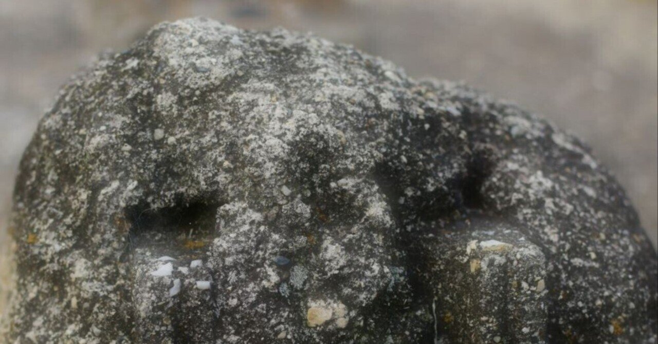 ニコンもあった｜takahiro mori｜note