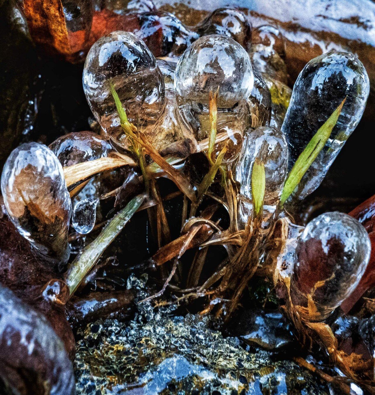 寒中｜Yutaka Kano｜note