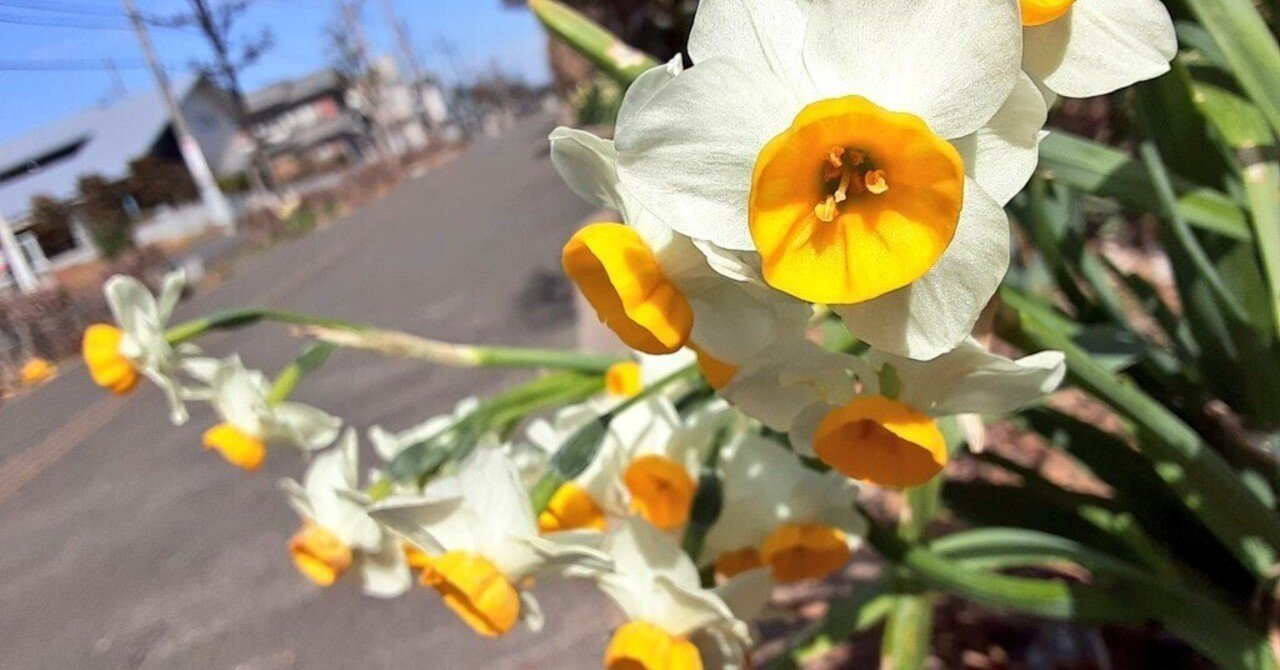 あい｜旅人miwa｜note