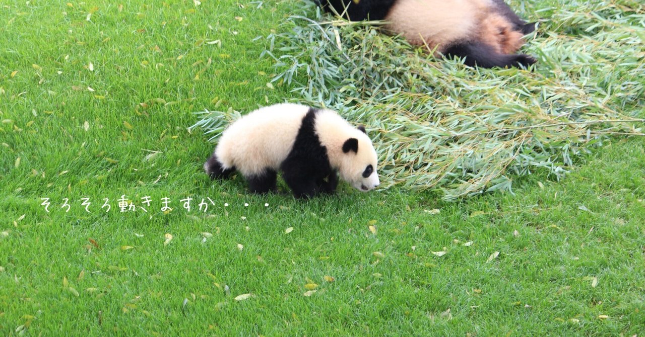 そろそろ動きますか・・・｜建築士のあたまの中～sawa-architect｜note