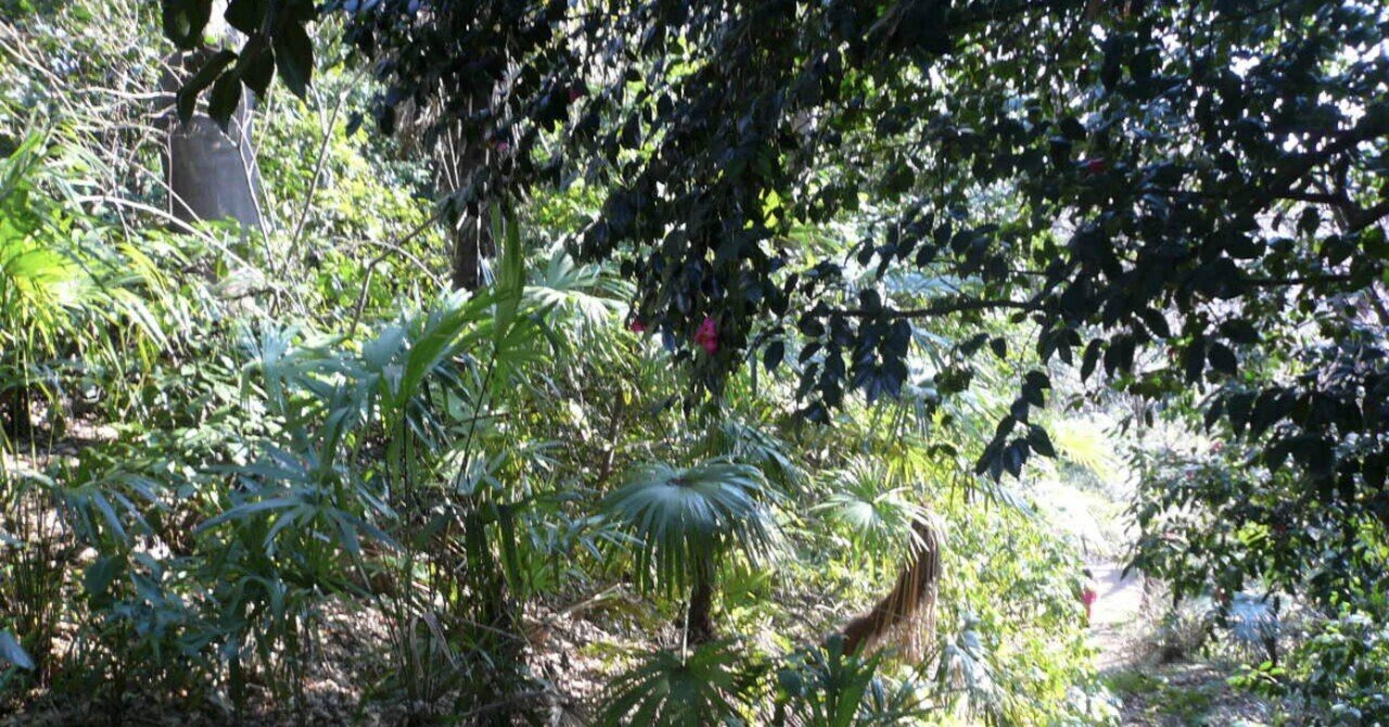 【連載小説】エルムの震え（12）｜Hiroto Tsukada｜note