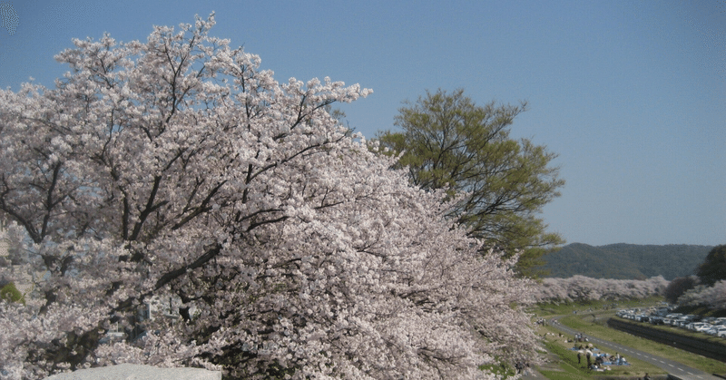 「WordPress wp_remote_get GETメソッドを送信する」参考サイトまとめ｜ワードプレスプラグインサブスクプラン