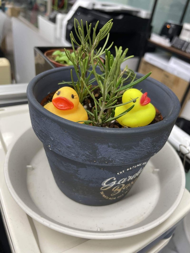 それは飽き性なのか、更新度が早いのか vol.589｜Tsukasa Igarashi｜note