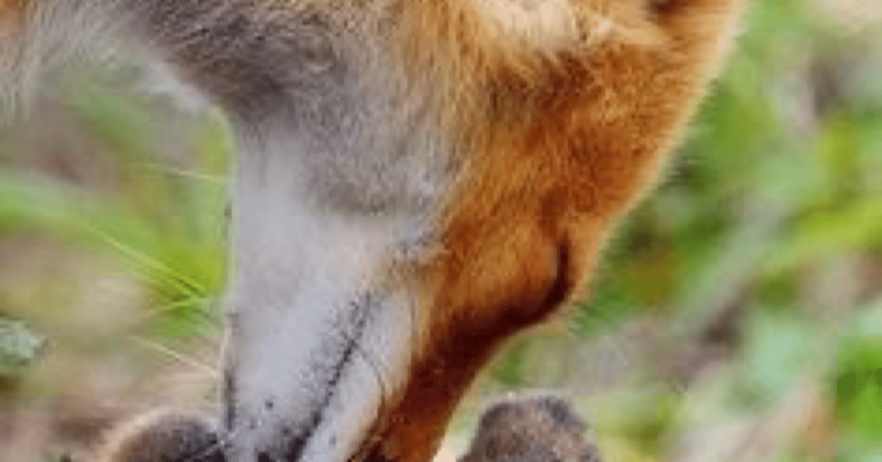 自殺を考える④｜天照大御神の子孫｜note