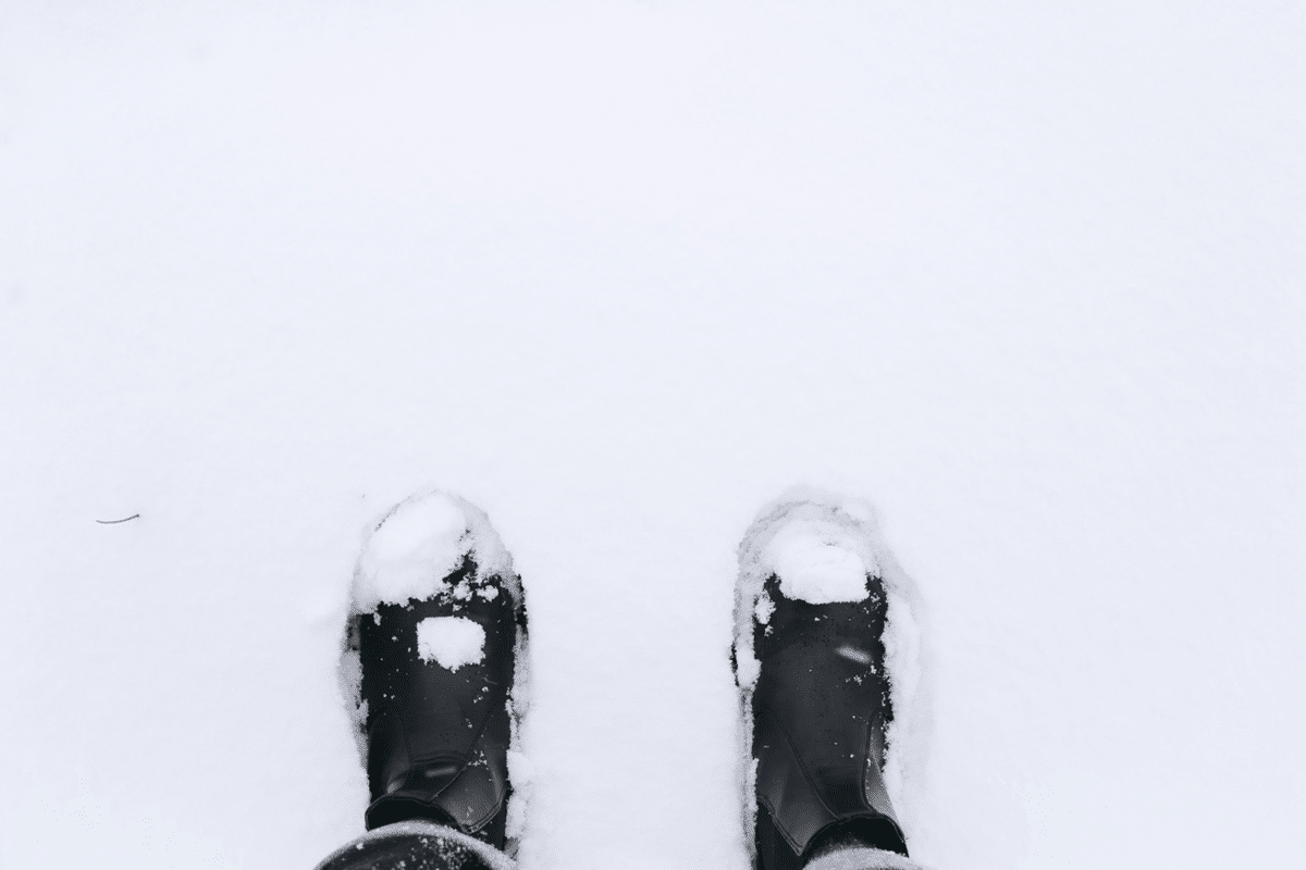 職員旅行と姉の結婚式と祖母の葬式｜マリ山直太朗