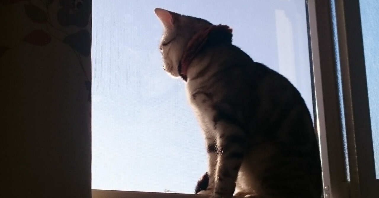 奇跡講座WB実践205 復習185｜(Linp&Ruru)本当の自分を知り、本当の自分として生きる｜note