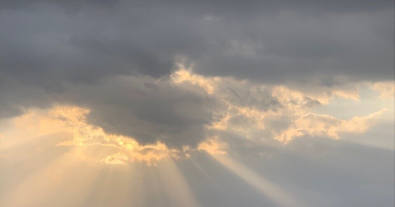 カバーオールを買いました｜FM-U1｜note