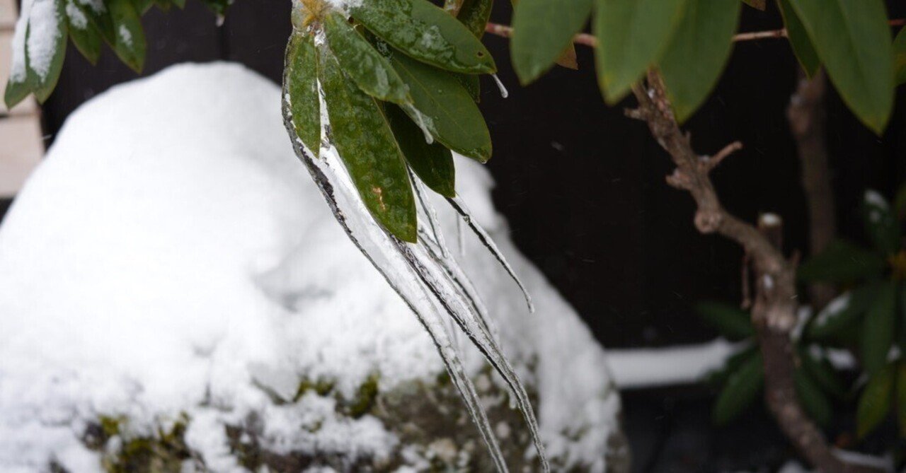 大寒波様を貯蔵する新・かまくら論｜佐伯 圭介 | Keisuke Saeki