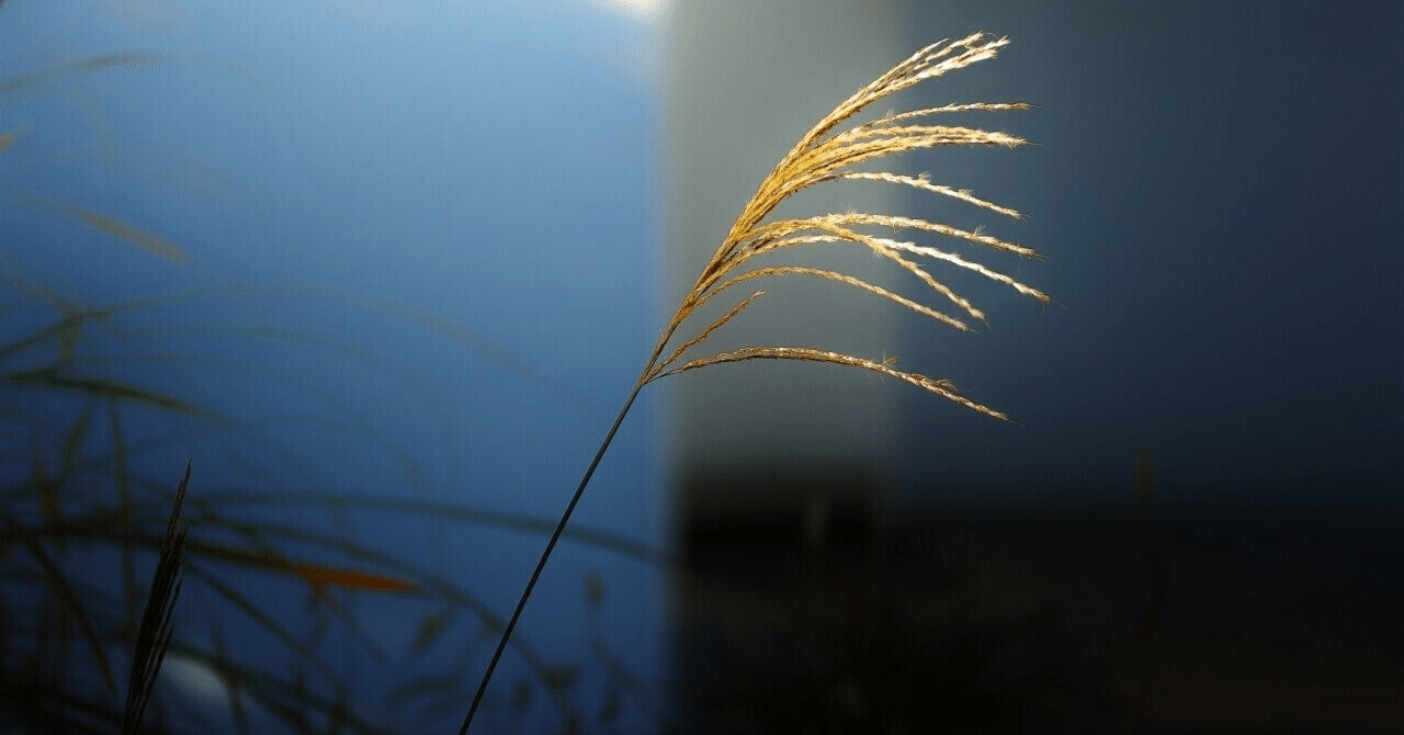 Day 87 彼の地｜kona