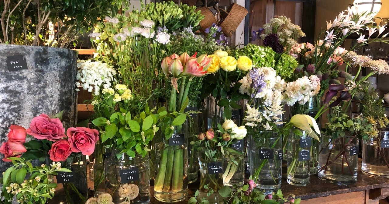 豊かさ｜ゆうゆう yu-yu｜note