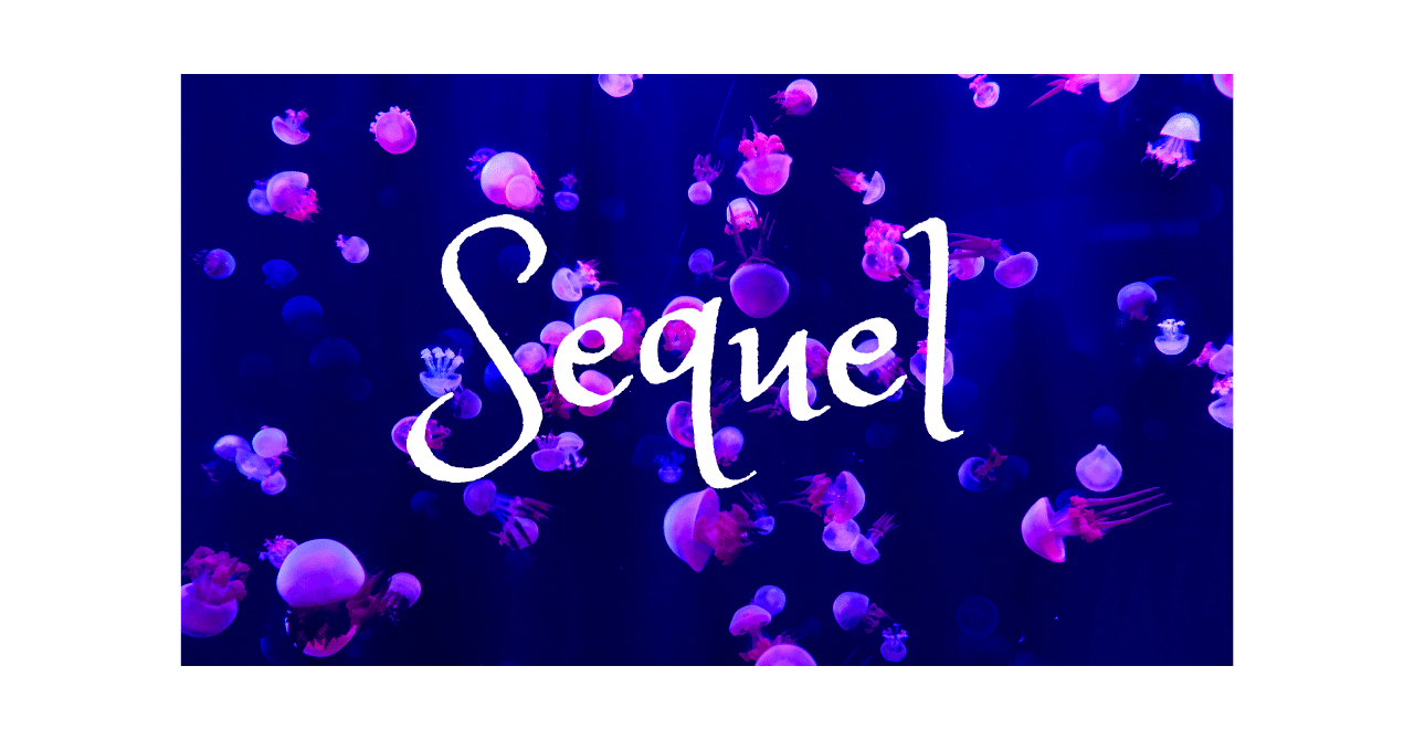 Sequel - 8 January 2023 Summary｜Ringo