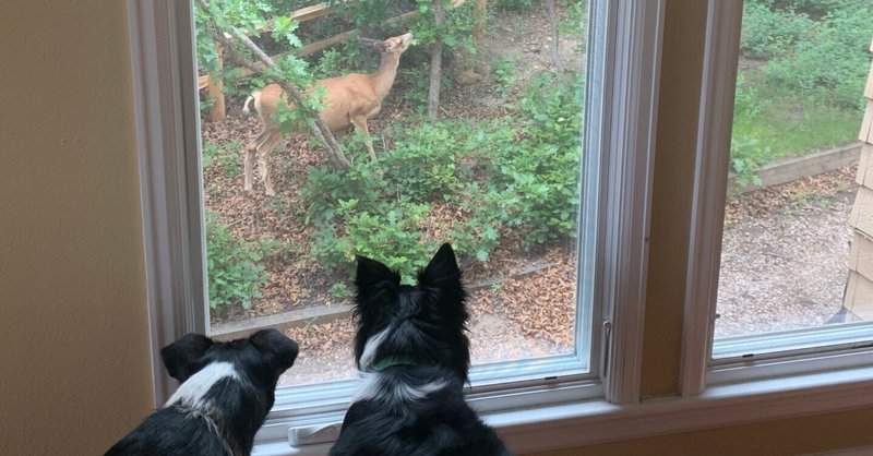 気持ちの入れ替え、模様替え♬｜AKIKO｜note