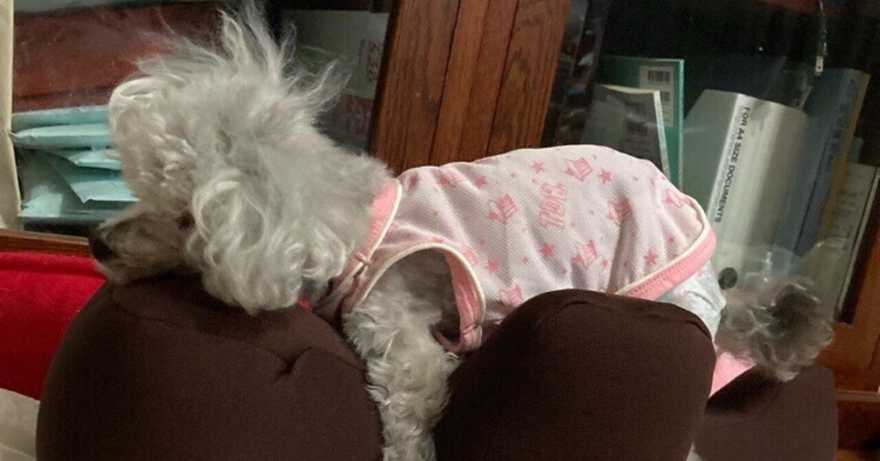 やっぱりわからん｜tomoka｜note