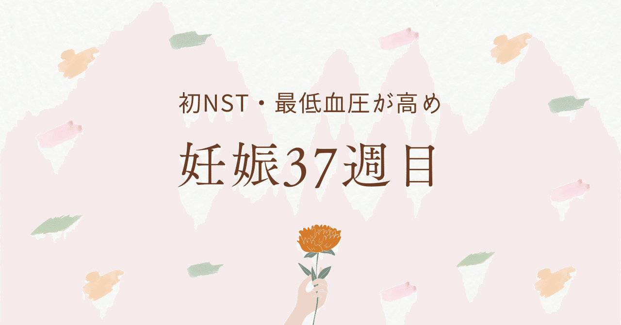 妊娠37週目健診！初NSTや、最低血圧が80を上回る件｜露つゆり@SEで1児の母｜note