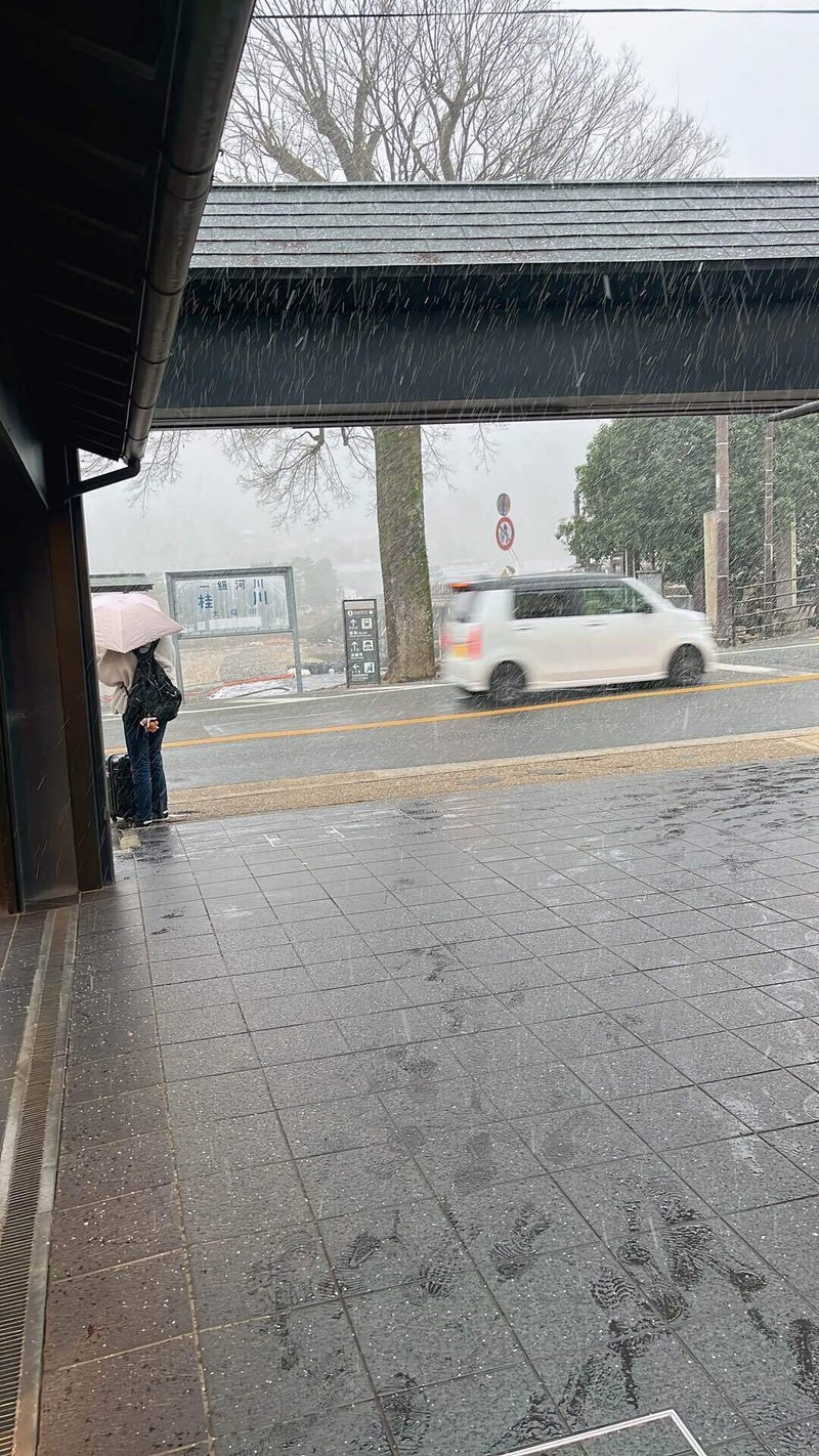 【旅行】写真で振り返る京都旅。/197日目｜baka_yuki