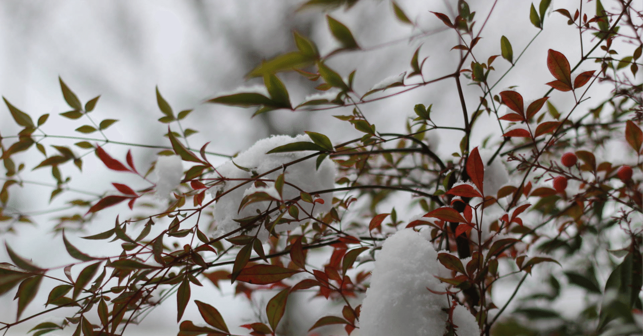 フリーランスのお話 NO.6 収益化｜yoshitaka kai｜note