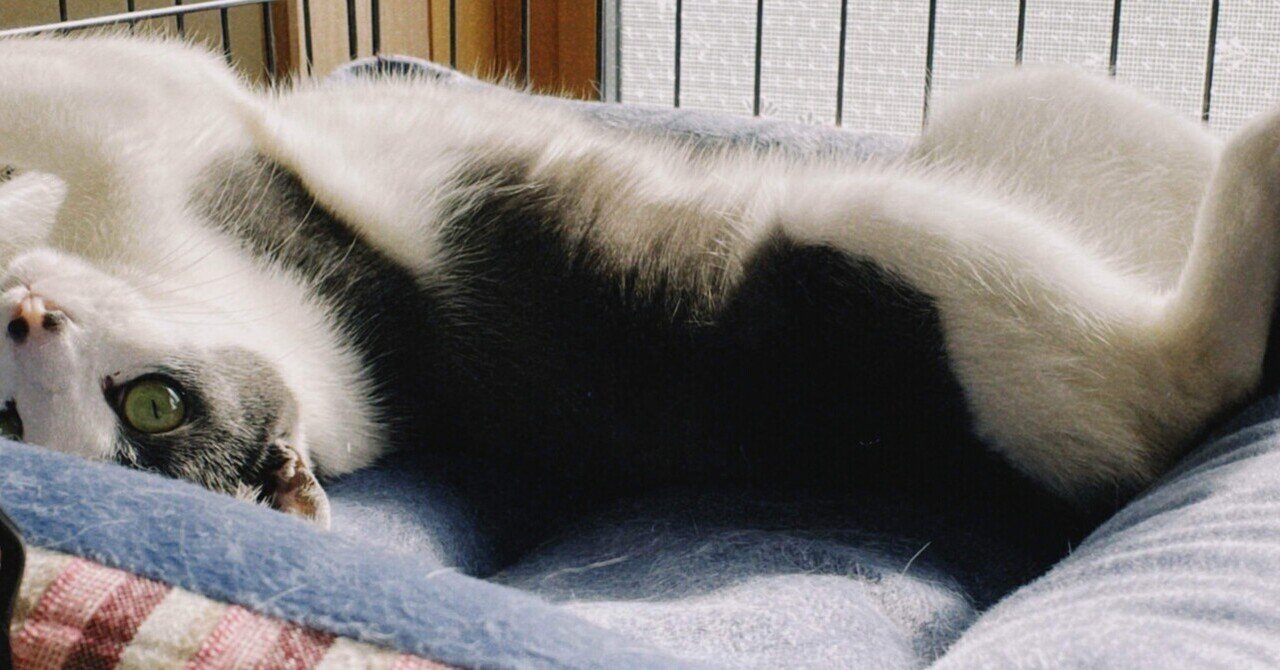 まったり。｜Toco｜note