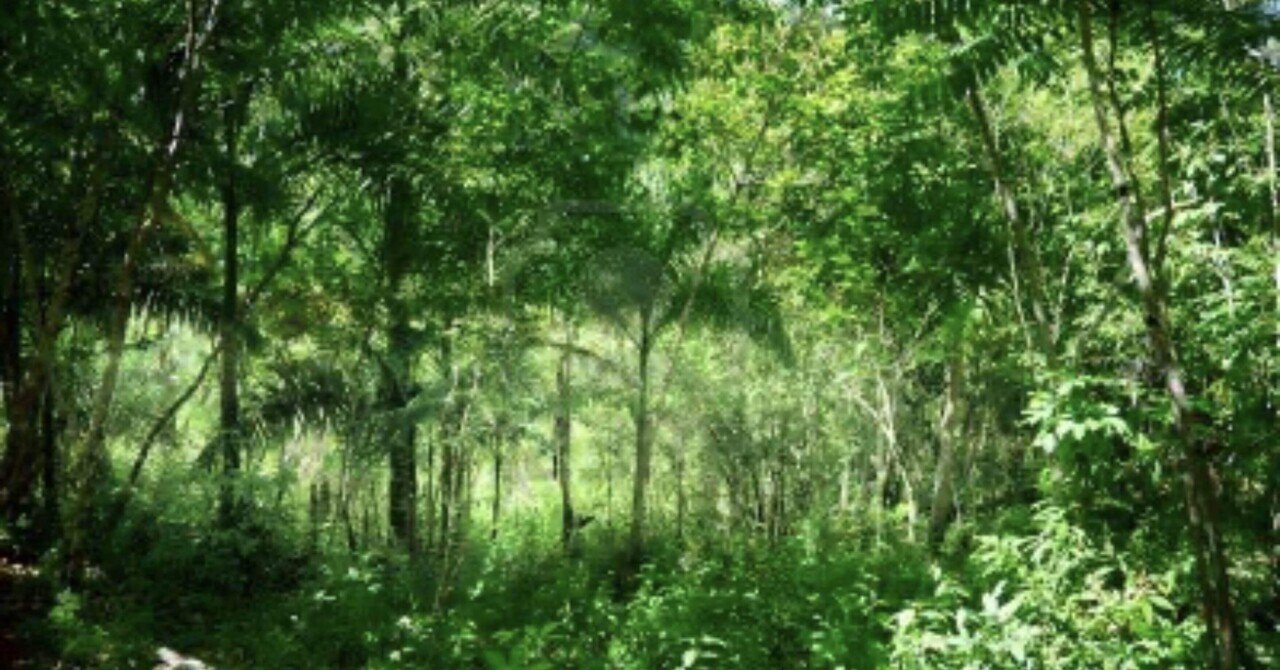 【連載小説】エルムの震え（15）｜H. Tsukada｜note