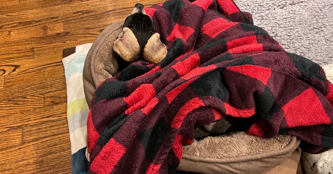 ぴの耳より"真夜中の縁結び"情報(1/26)｜SENRI OE 大江千里