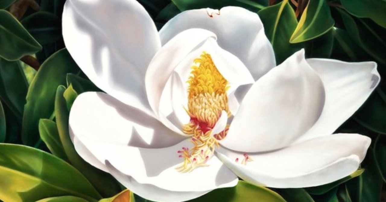 オラ・ソレンセン：Oil Paintings｜artoday - chiaki｜note