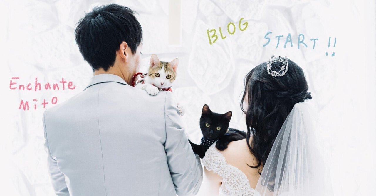 可愛い可愛い猫ちゃんと一緒に🐱🐱｜アンシャンテ水戸