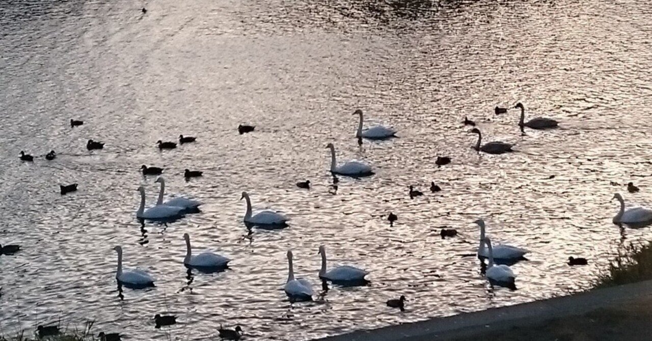 奇跡講座WB実践209 復習189｜(Linp&Ruru)本当の自分を知り、本当の自分として生きる｜note