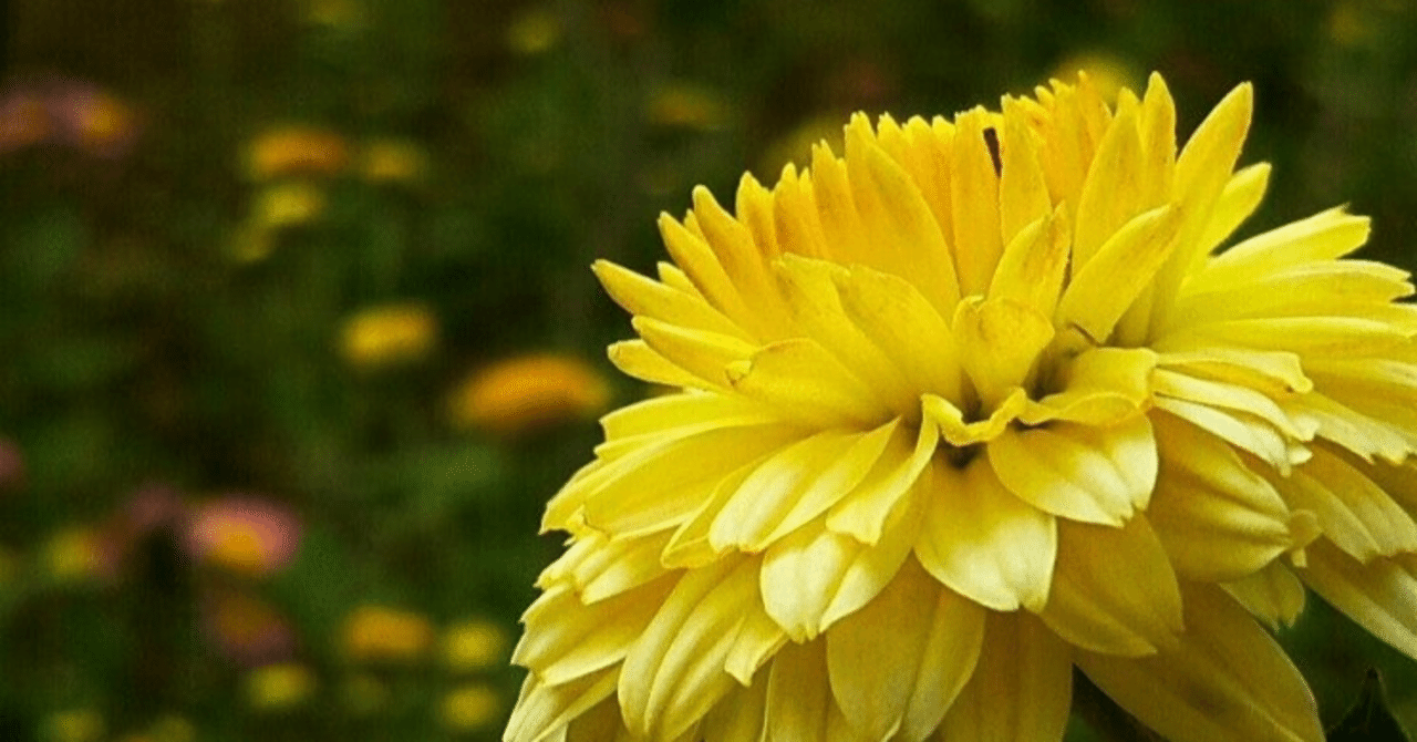 諦め続けた結果。｜tetra