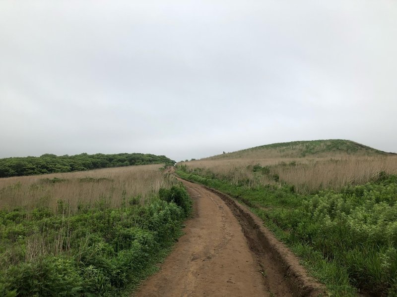 ウラジオストク1｜Motoki Takeuchi ｜note