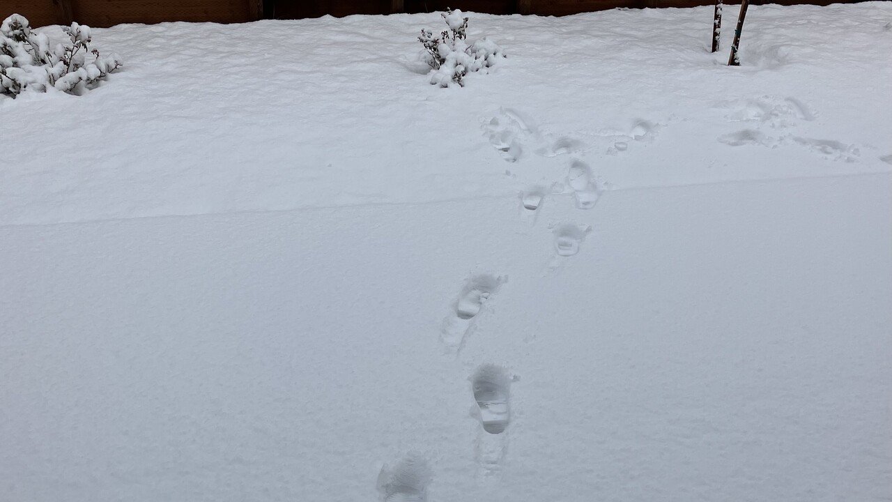 白熊杯、俳句の予選が始まりました。 大会にご参加の方も通りすがりの方も、良かったら投票よろしくお願いします。 https://note.com/minhai/n/nc73956422ee2 ...