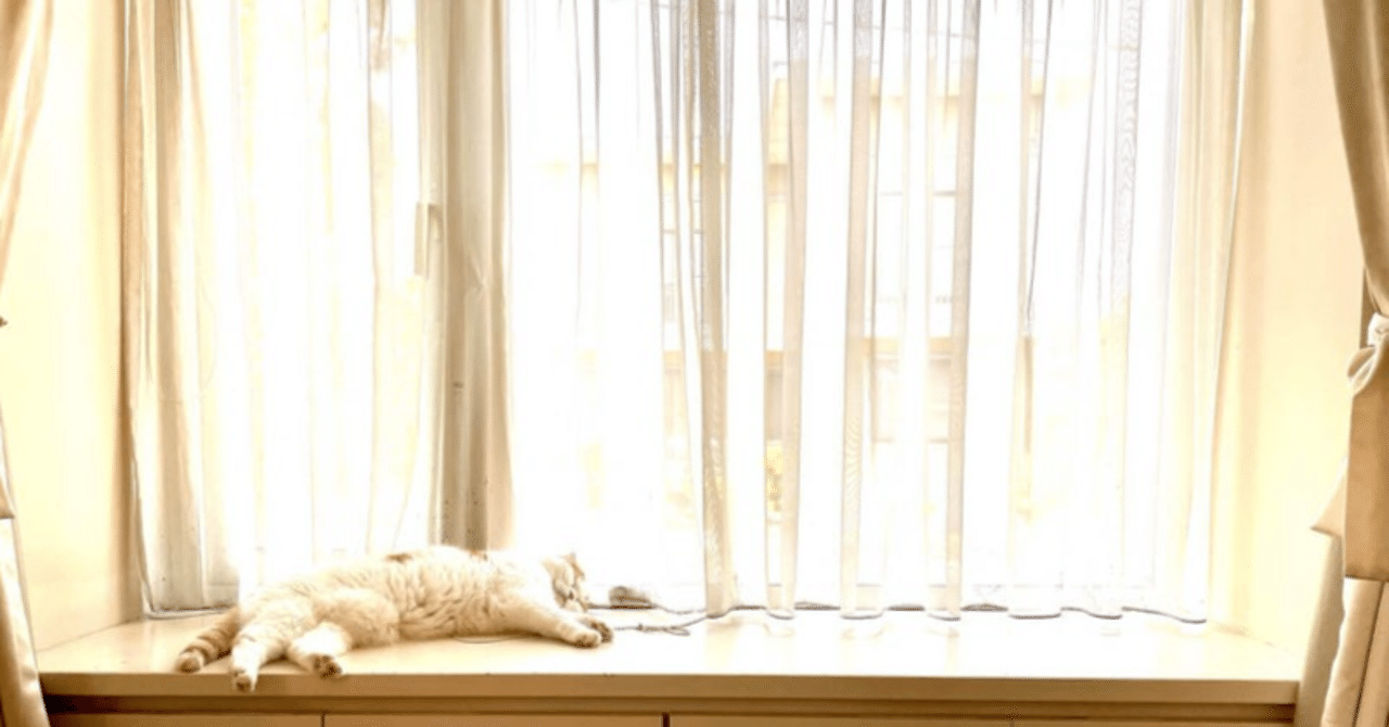 嵐の中でも｢僕のwonderful world｣｜miyoshi｜note