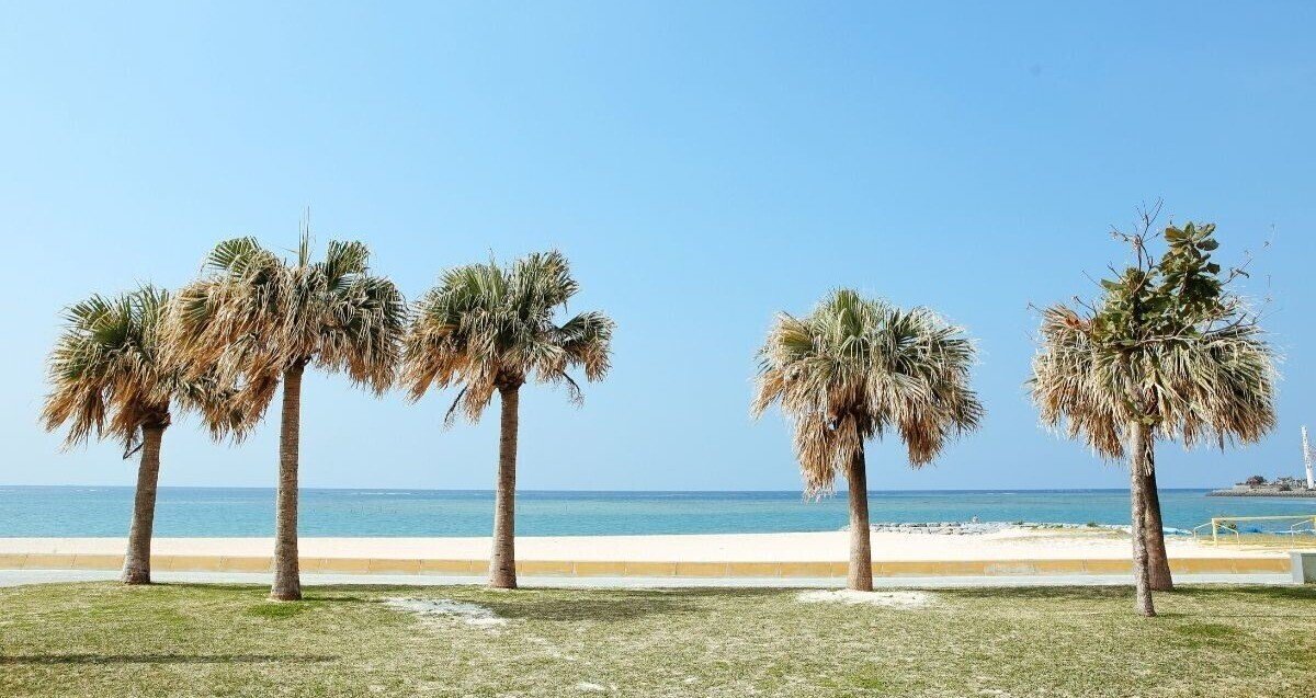 shohei.endo.jp｜note