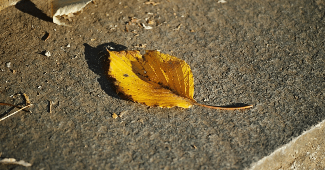 お前が言うな｜723nk