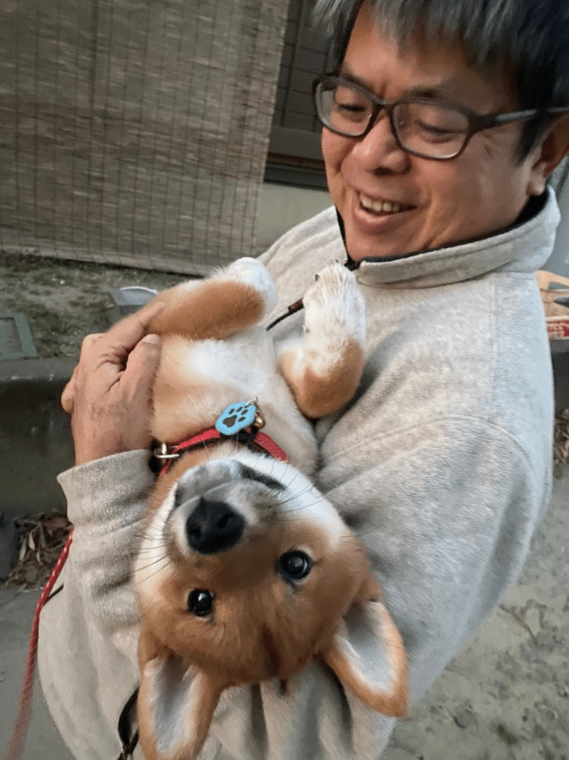 こなつチャンネル(19) いぬバウアー｜NicePapa 平野 尚志