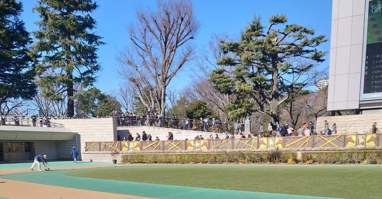 2023.01.24 東京5R｜めがねnote