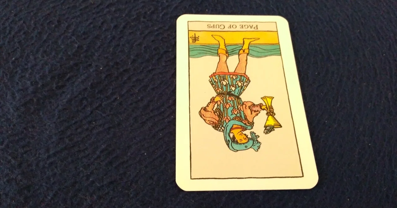 My Tarot Diary ｜ミリーナマルモ｜note
