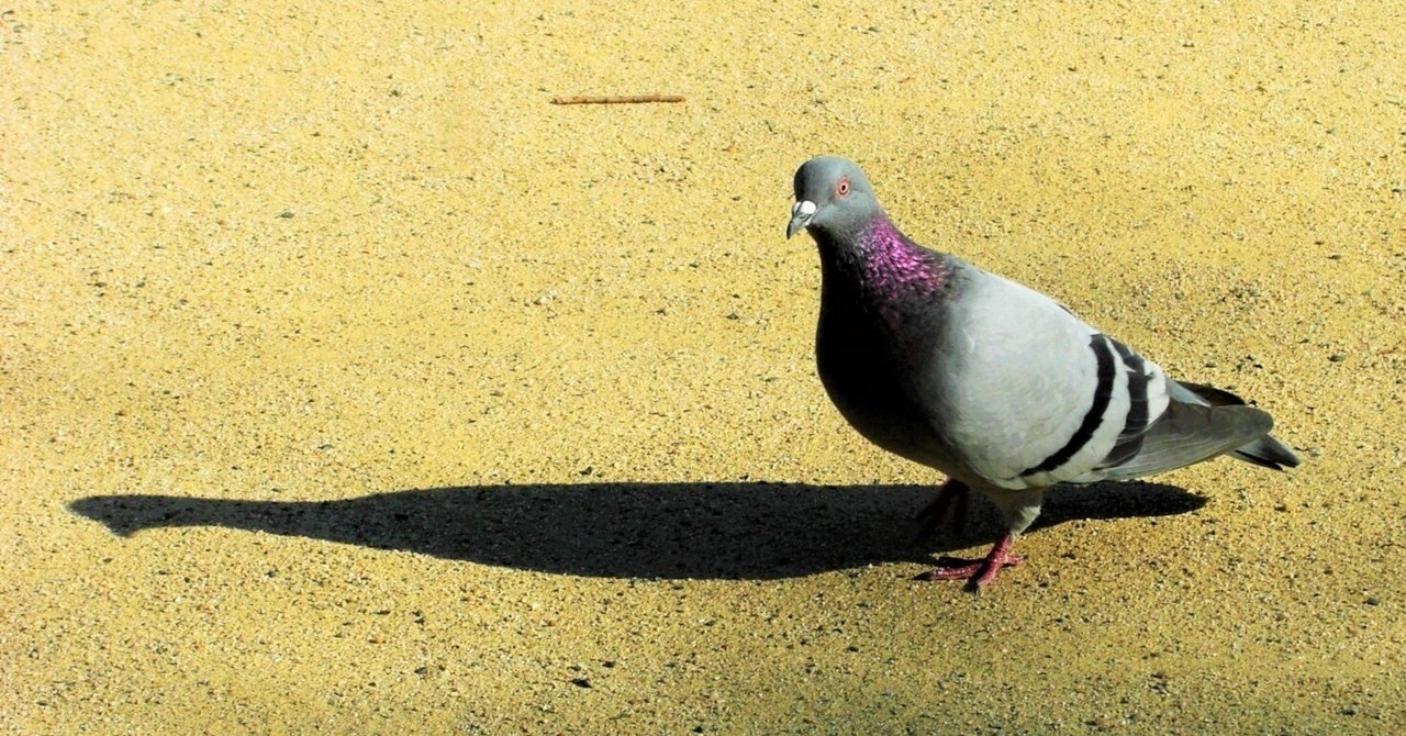 文化について｜Tomoki 薫風｜note