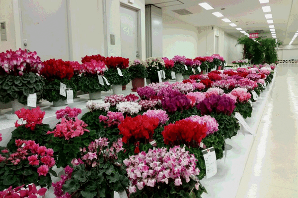 kazuya.yoshida｜note