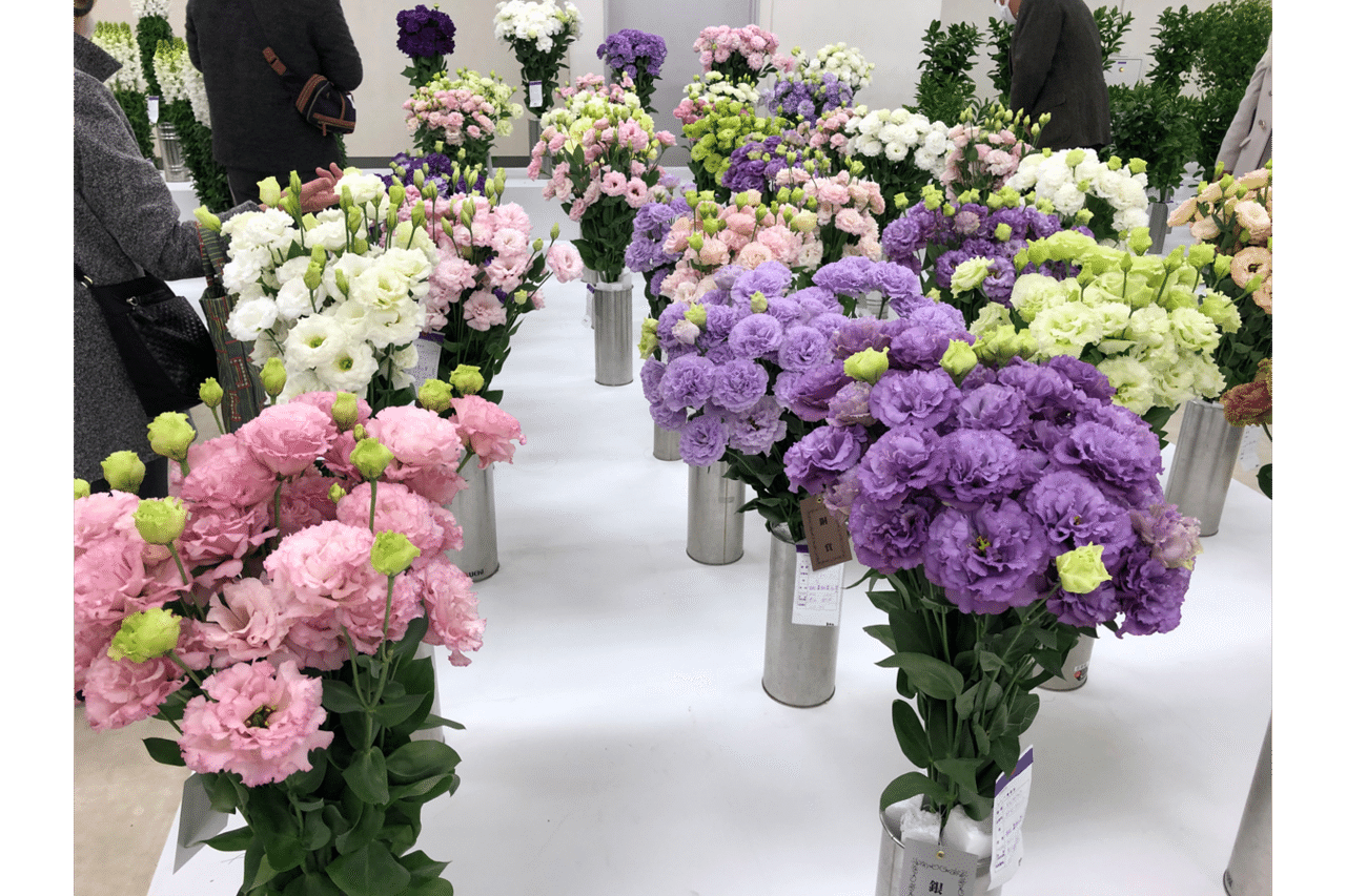 kazuya.yoshida｜note