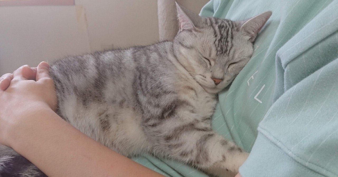 奇跡講座WB実践211 復習191 （だめじゃん）｜(Linp&Ruru)本当の自分を知り、本当の自分として生きる