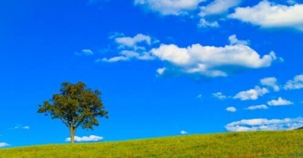 80年代に大活躍したおばあちゃん女優！菅井きんや初井言榮は当時何歳？ ひっつめ髪に茶色の和服、割烹着…がイメージ ...