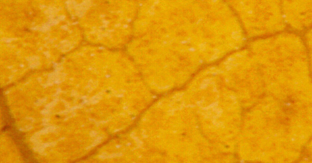 生活の観察-制作記録-27｜202号室 - TAMAOKI Jun｜note