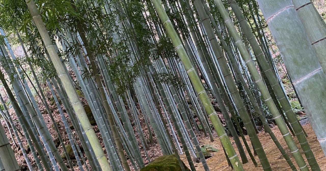 エネルギー酔いかと思ったら単なる風邪だった｜marimo's JOURNAL｜note