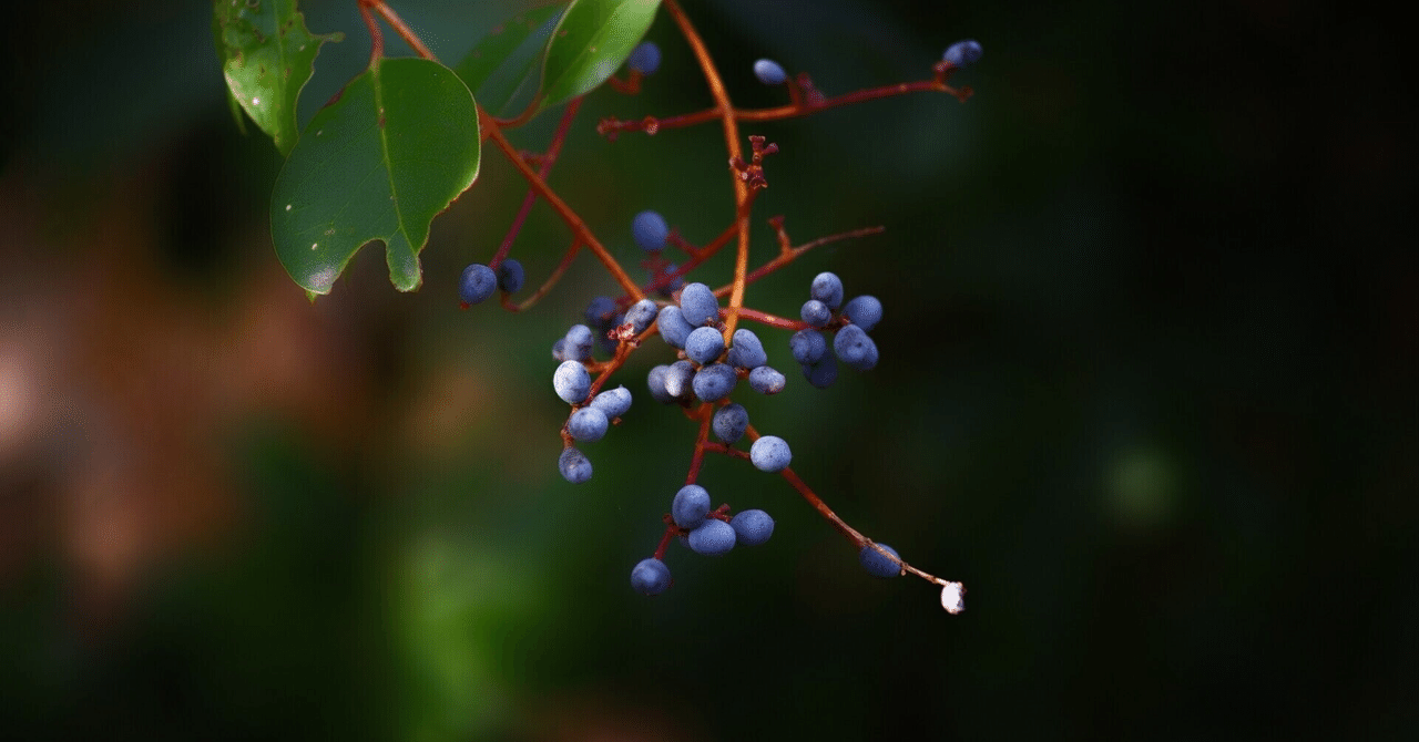 上昇志向の良し悪し～『割り切り志向』の重要性～｜Ryosuke Matsusima