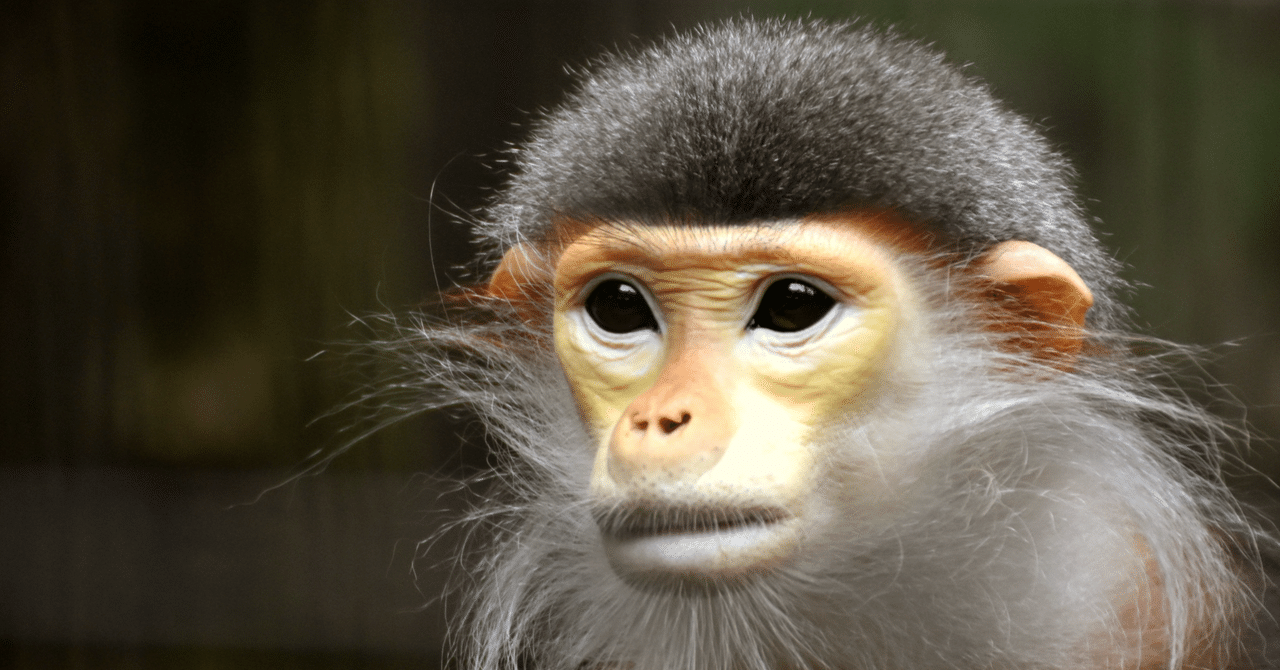 複眼の思考｜Jun Sasai （笹井淳）