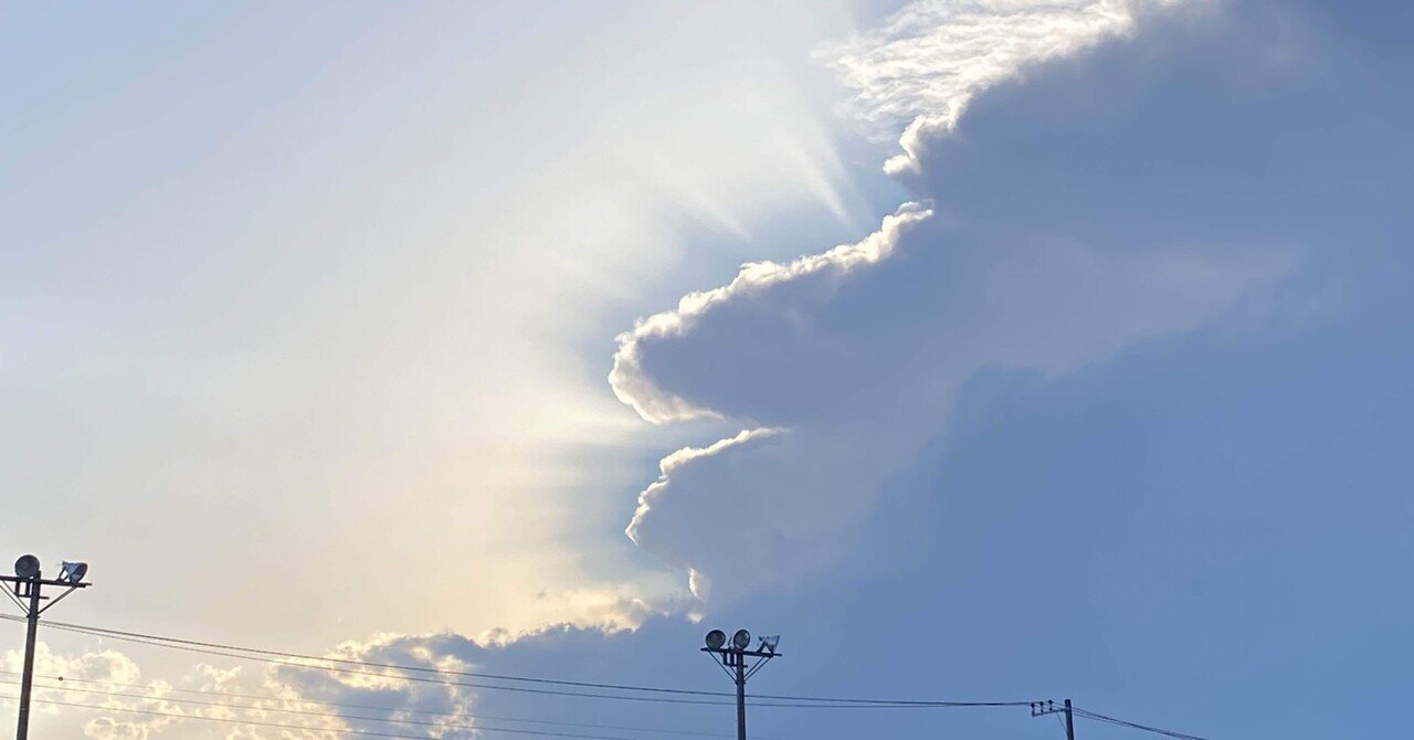 【日記】日々雑記（1/29〜30）｜Kazunari Kon