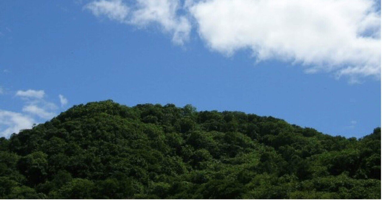 【連載小説】エルムの震え（20）｜H. Tsukada｜note