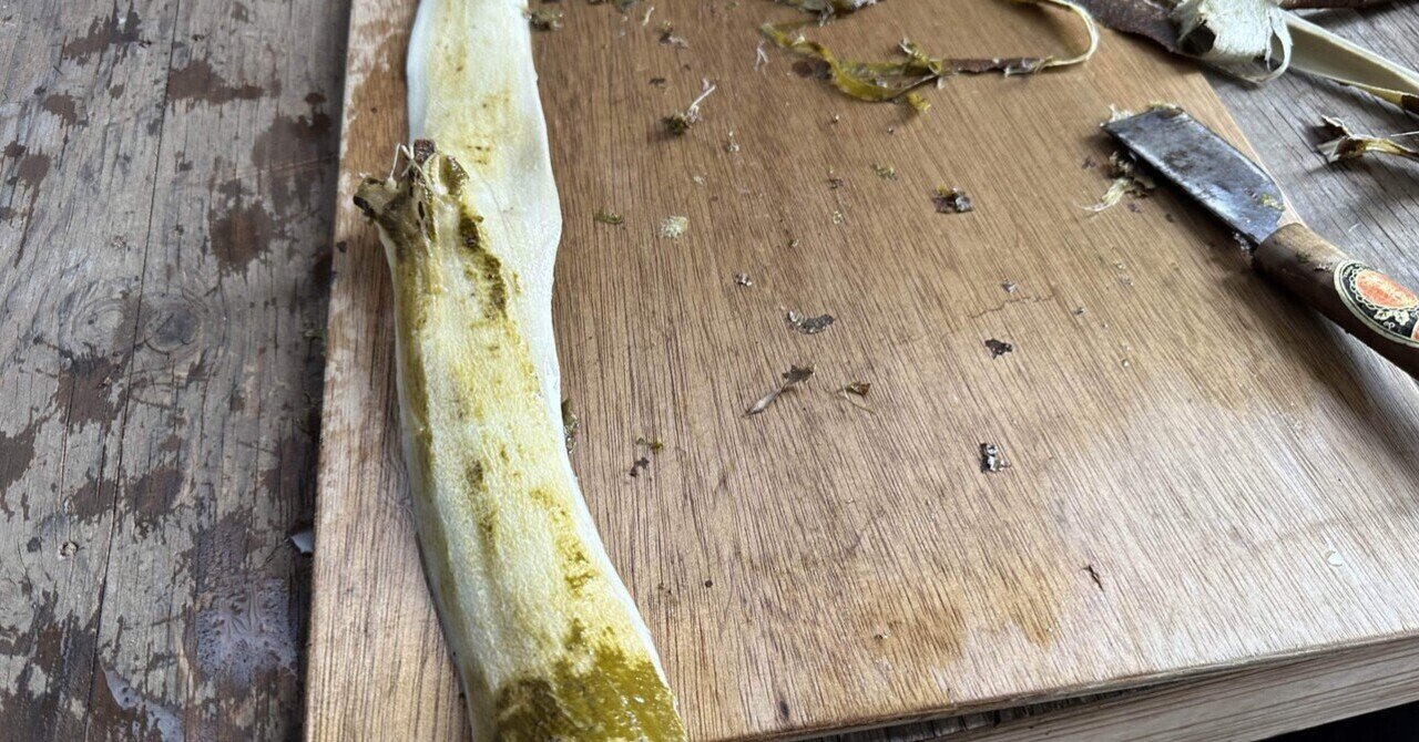 黒皮剥ぎ｜Tact Masuda