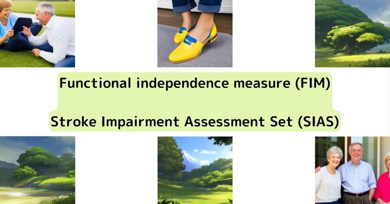 Functional independence measure (FIM) とStroke Impairment Assessment Set ...