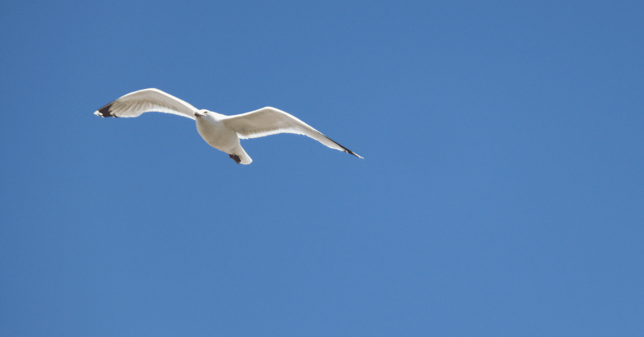 ロジックツリーで、自由な発想を。｜Junya Takahashi｜note